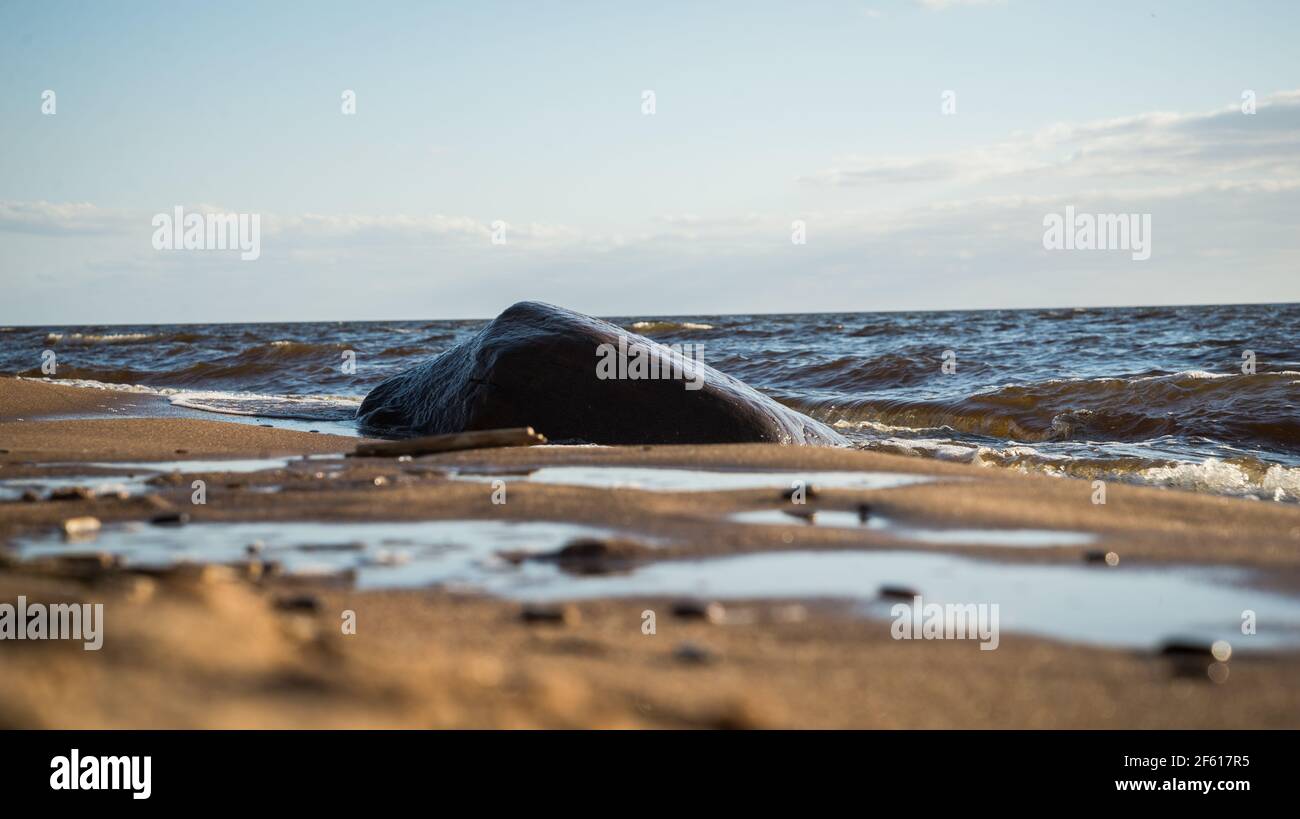 Beautiful large brown boulder on the sea shore beach washed by ...