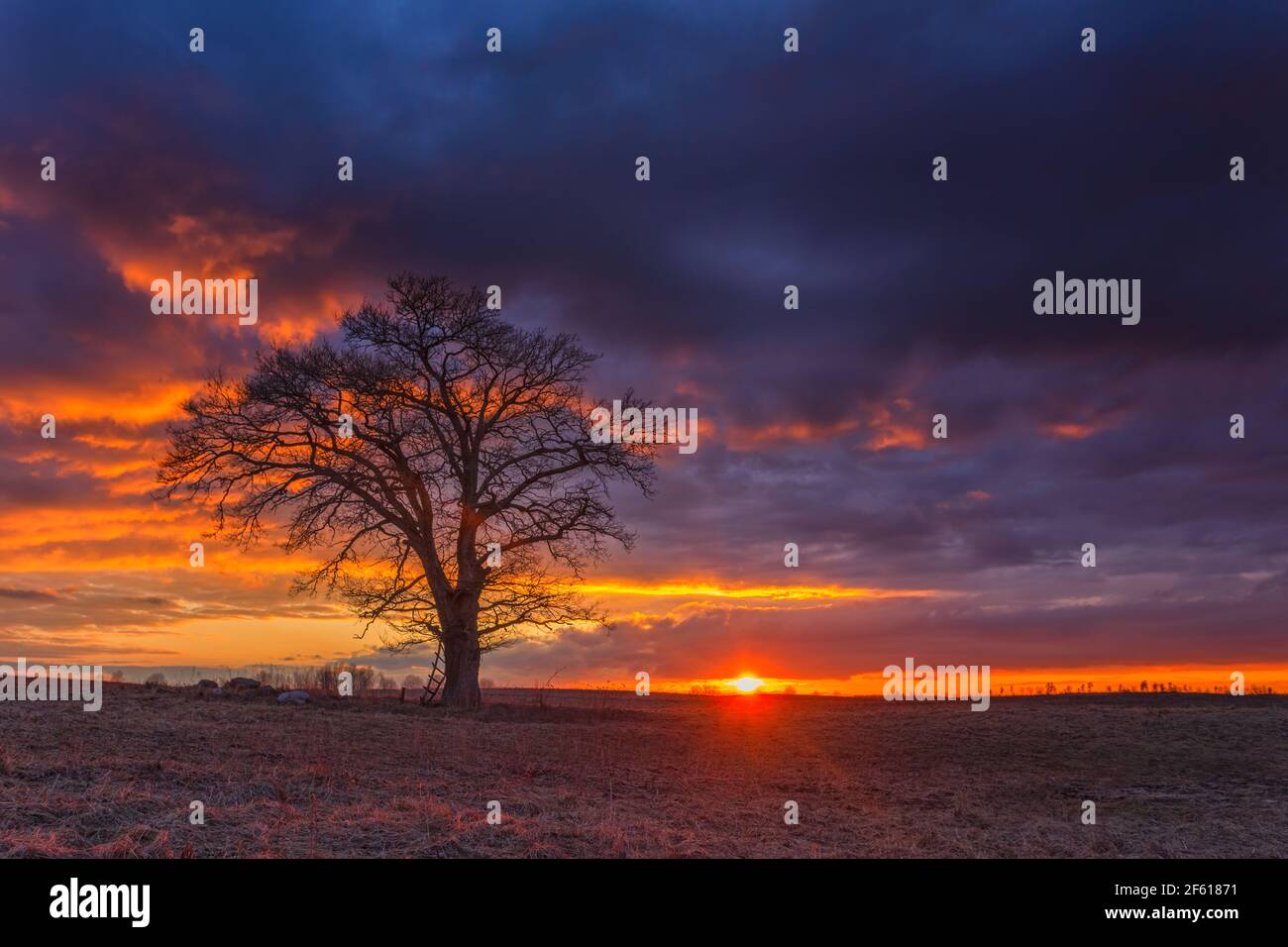 Time lapse sunset sun beams hi-res stock photography and images - Alamy