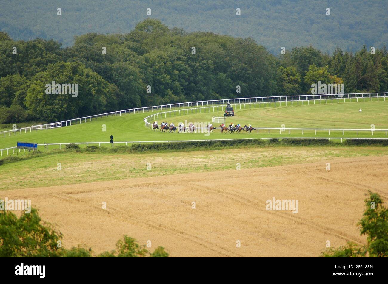Goodwood race track horses hi-res stock photography and images - Alamy