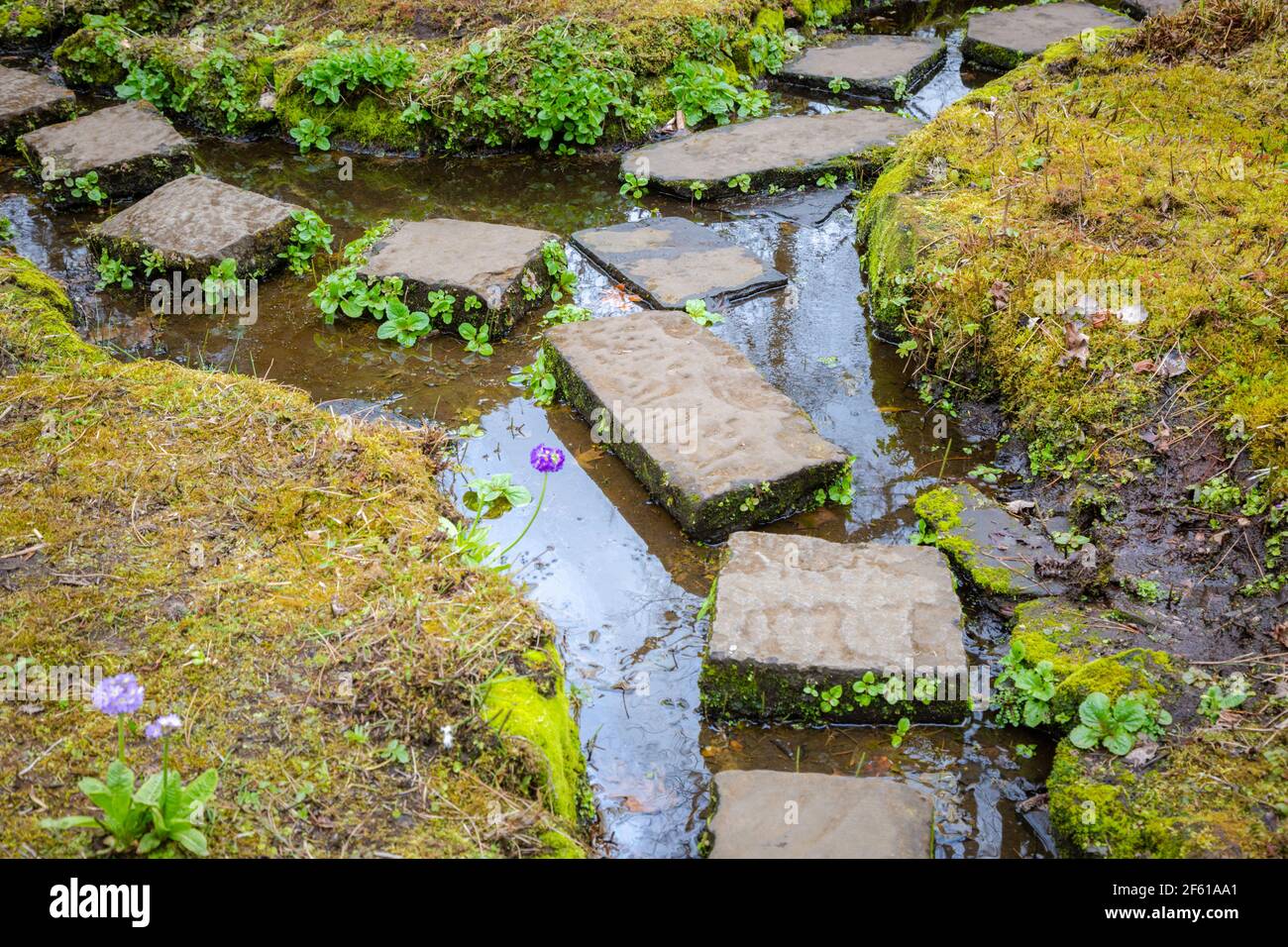 Stepping stones in water feature in a garden, UK Stock Photo - Alamy