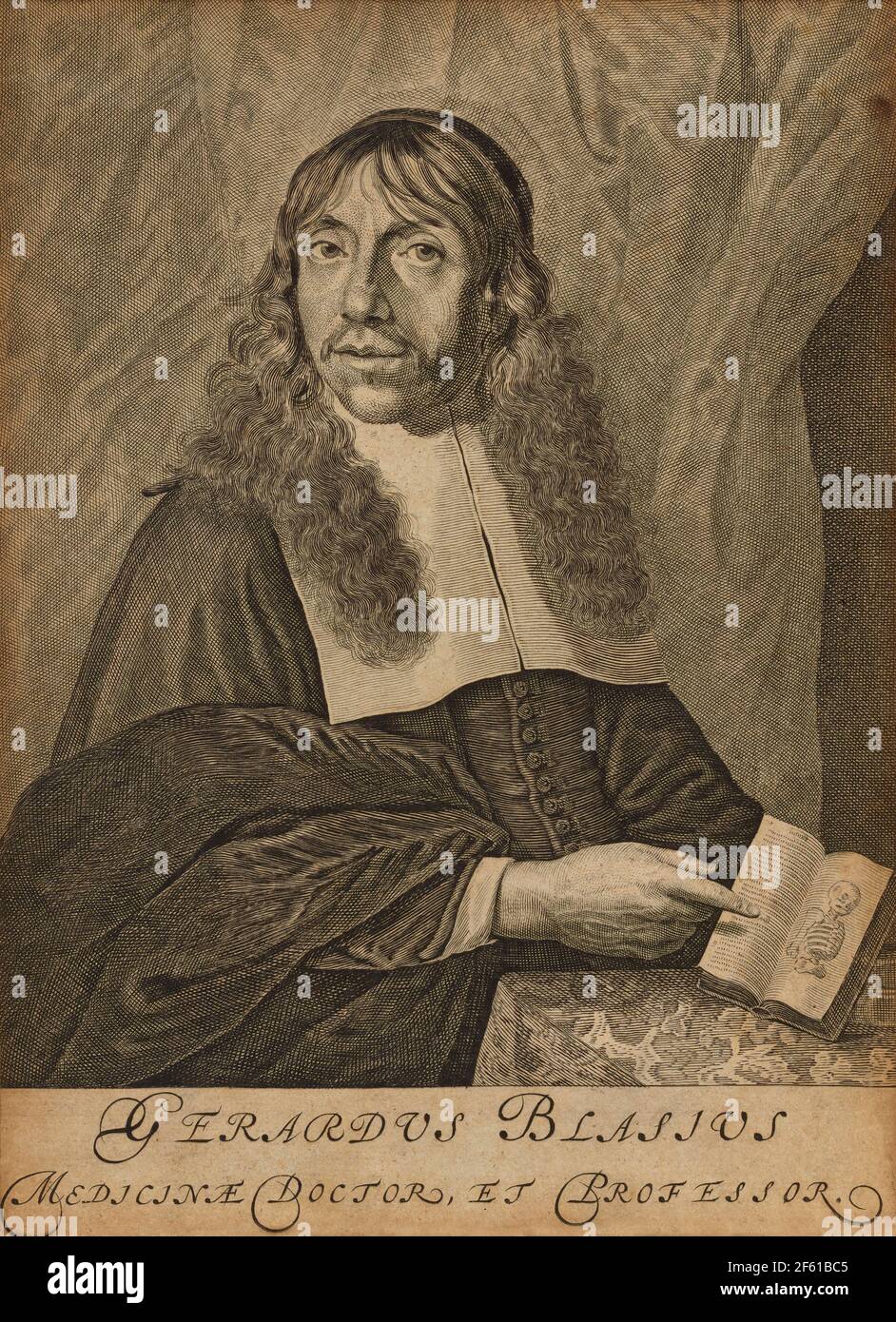 Famous anatomist hi-res stock photography and images - Alamy