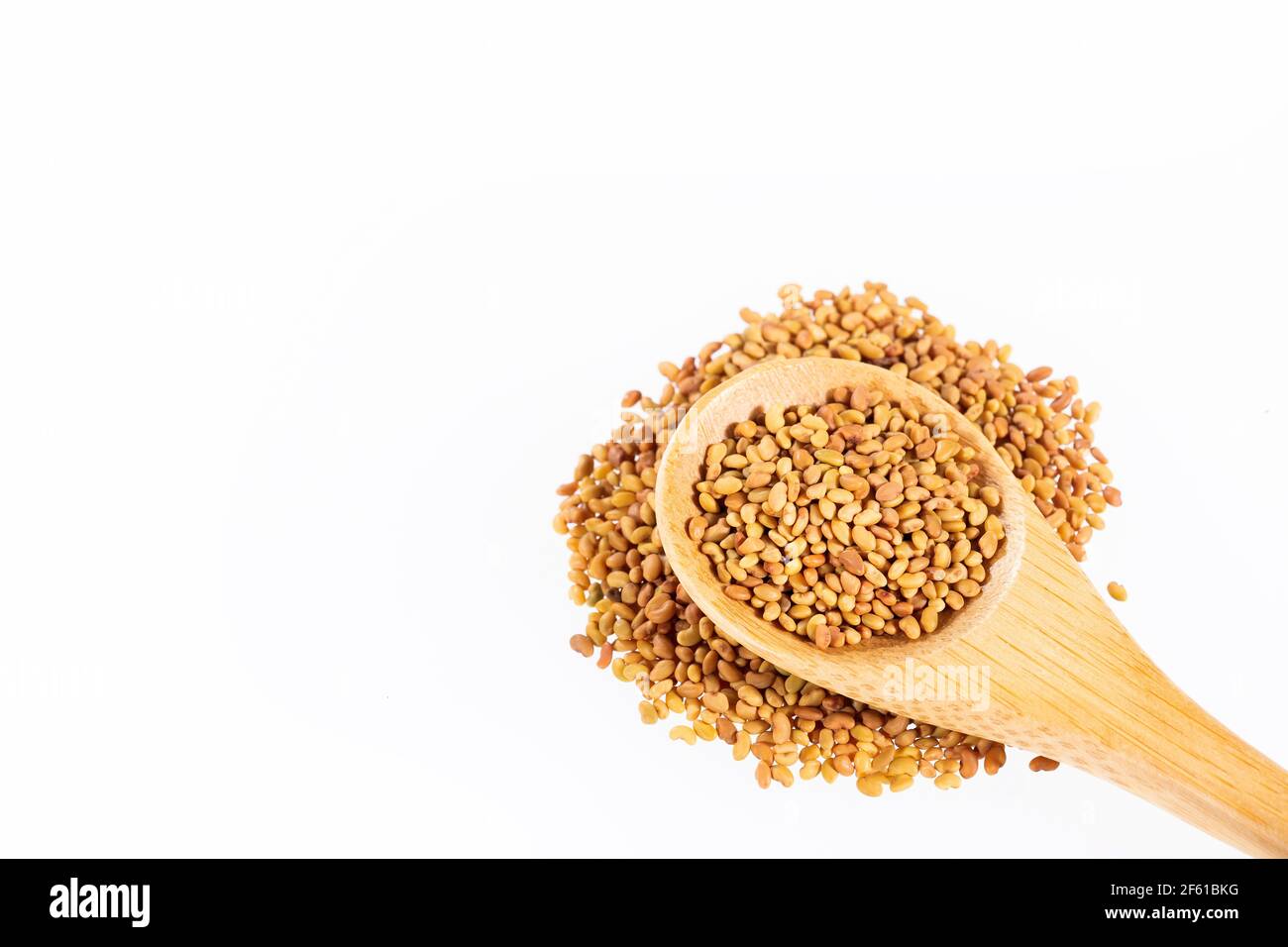 Medicago sativa - Organic Alfalfa Seeds Stock Photo - Alamy