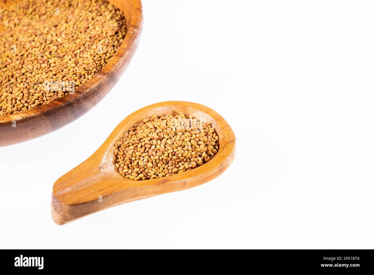 Organic Alfalfa Seeds - Medicago sativa Stock Photo - Alamy