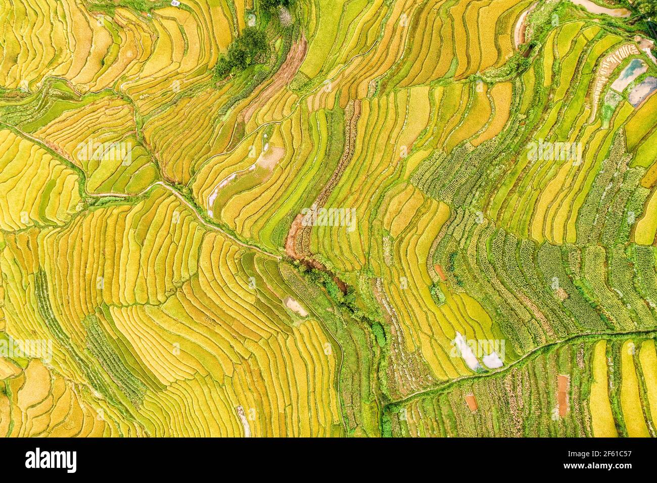 Aerial view of farmland and cloudscape of Yuanyang Terrace Scenic Area ...