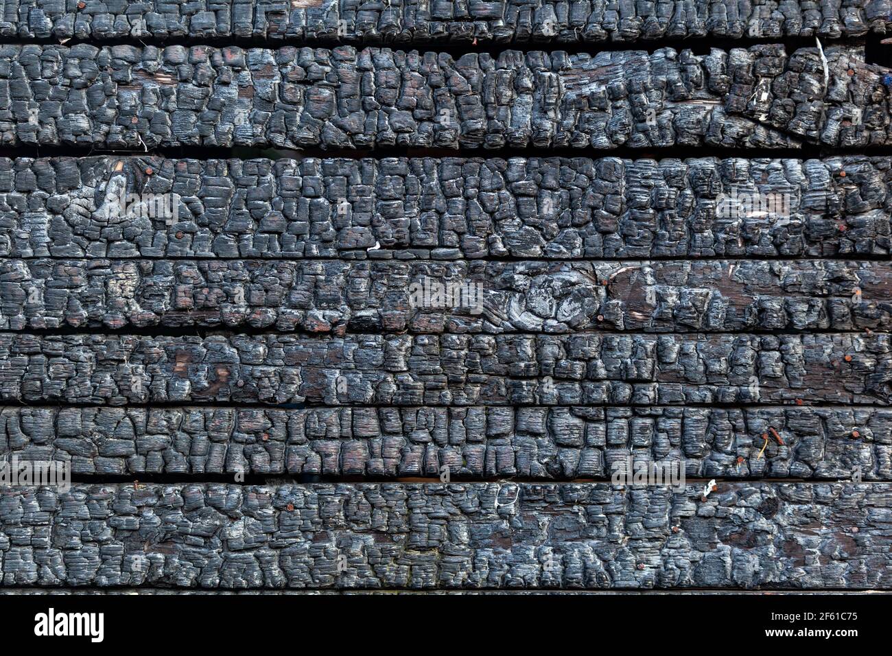 Burned wooden plank background. Details of surface of charred wood ...