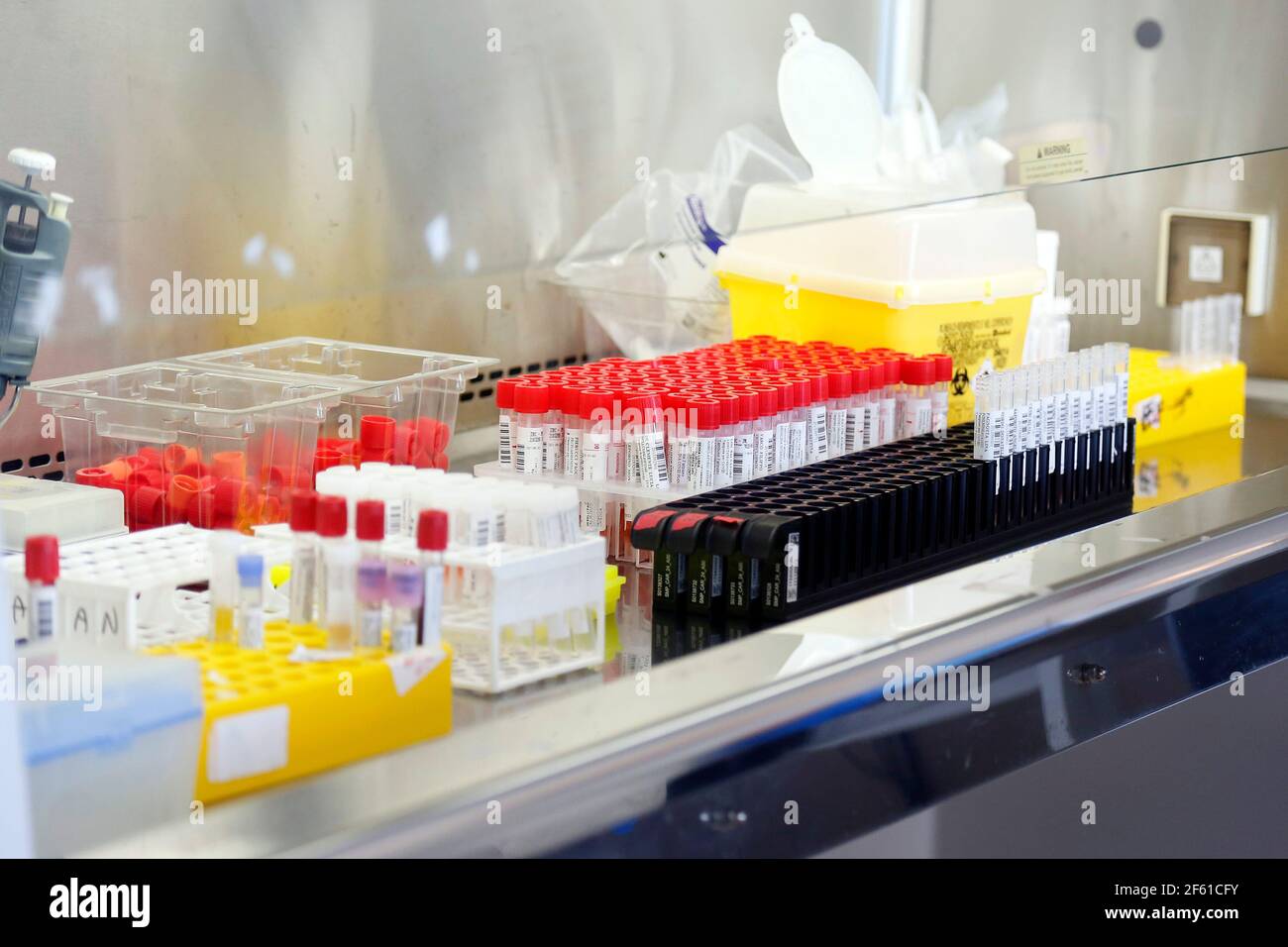 Dogs made to of tubes hi-res stock photography and images - Alamy