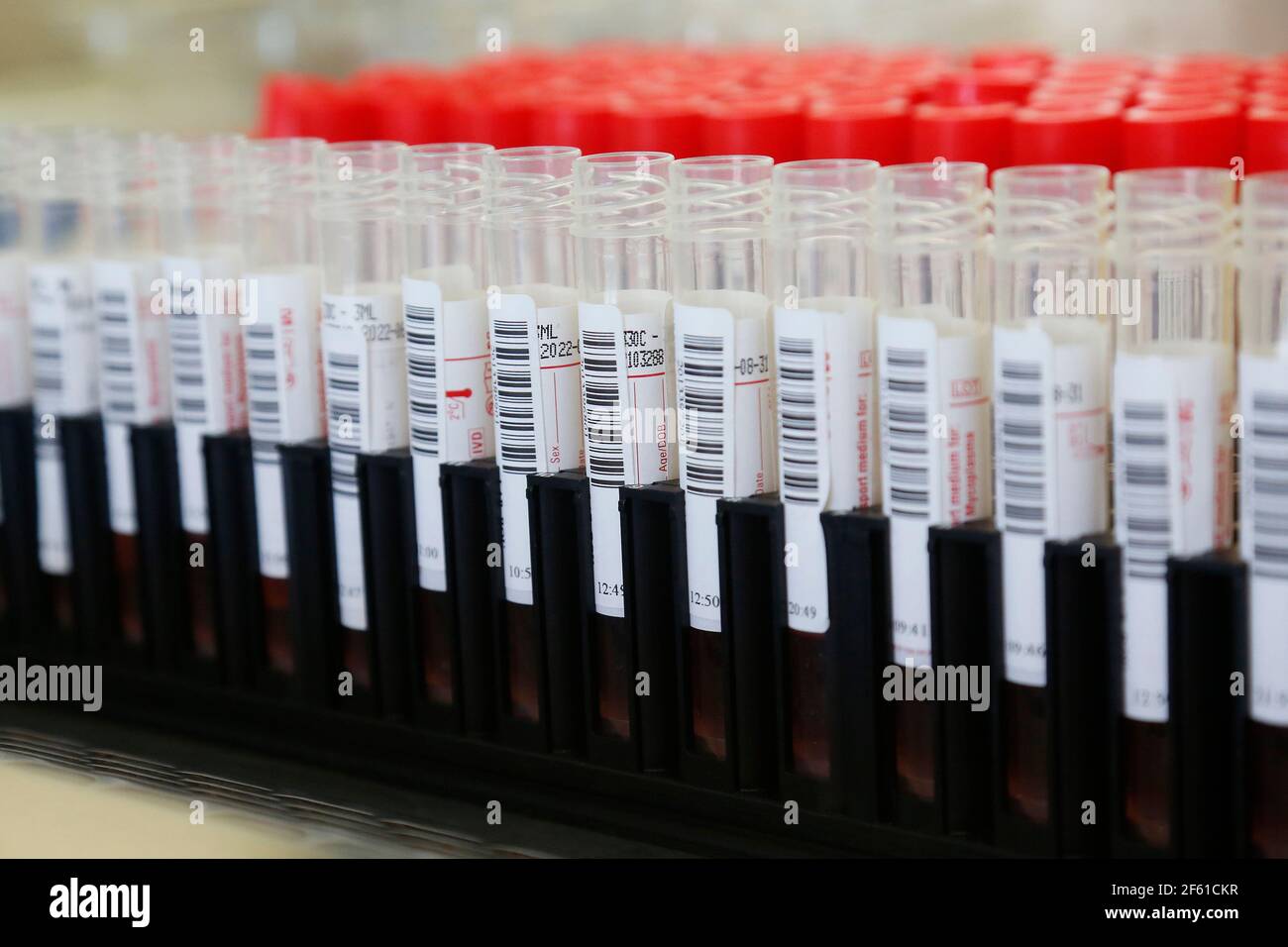 Dogs made to of tubes hi-res stock photography and images - Alamy