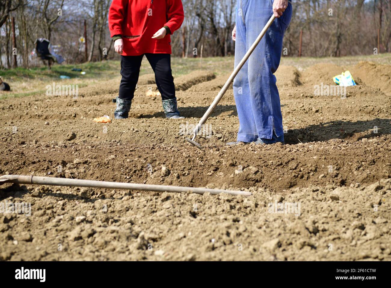 Farmers hand planting vegetable seeds in the spring in the garden Stock ...