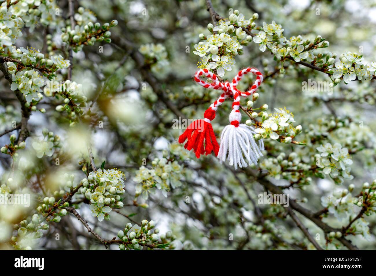Bulgarian symbol of spring martenitsa bracelet. March 1 tradition white ...