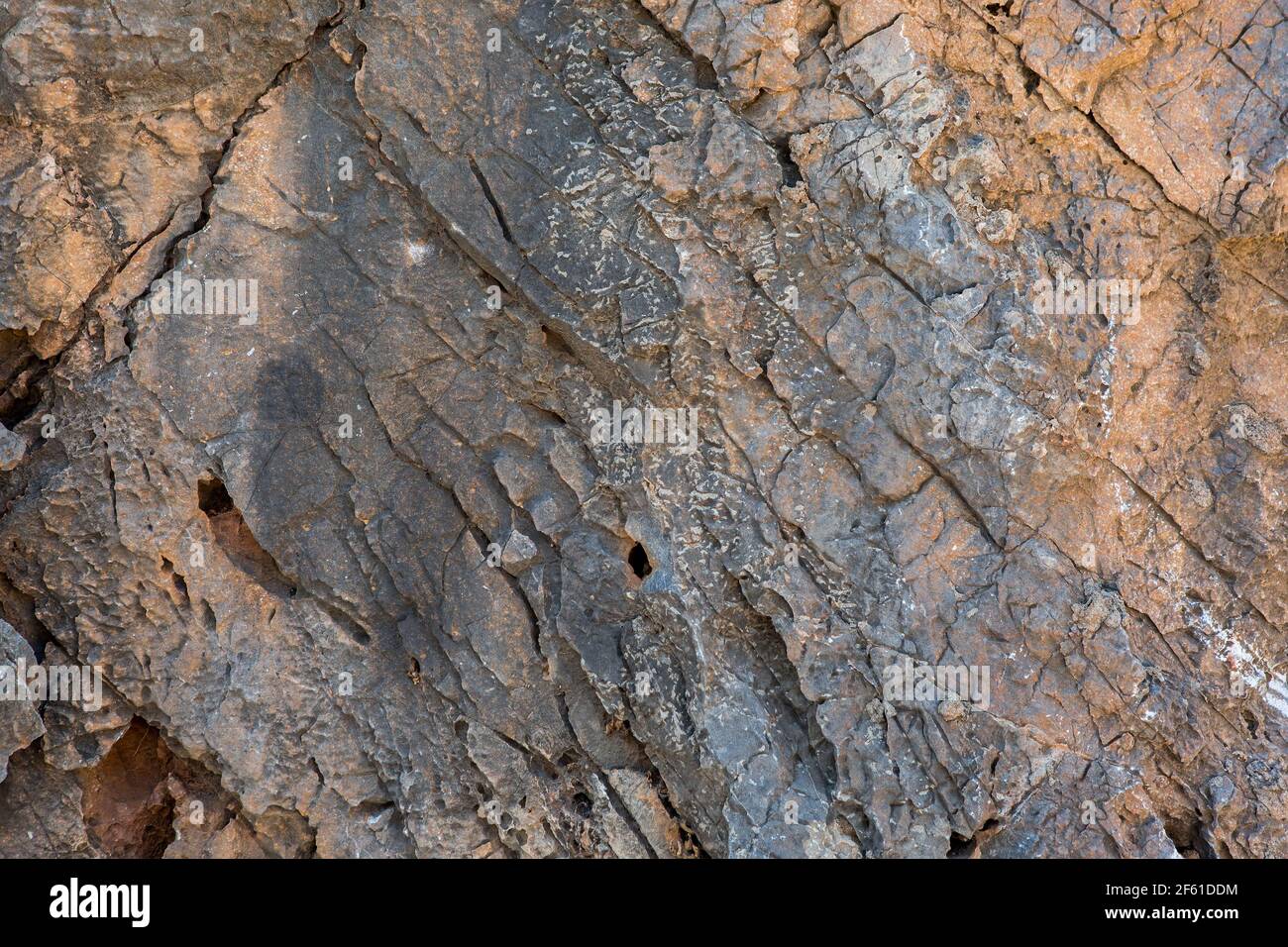 Texture of stone background. Porous stone Stock Photo - Alamy