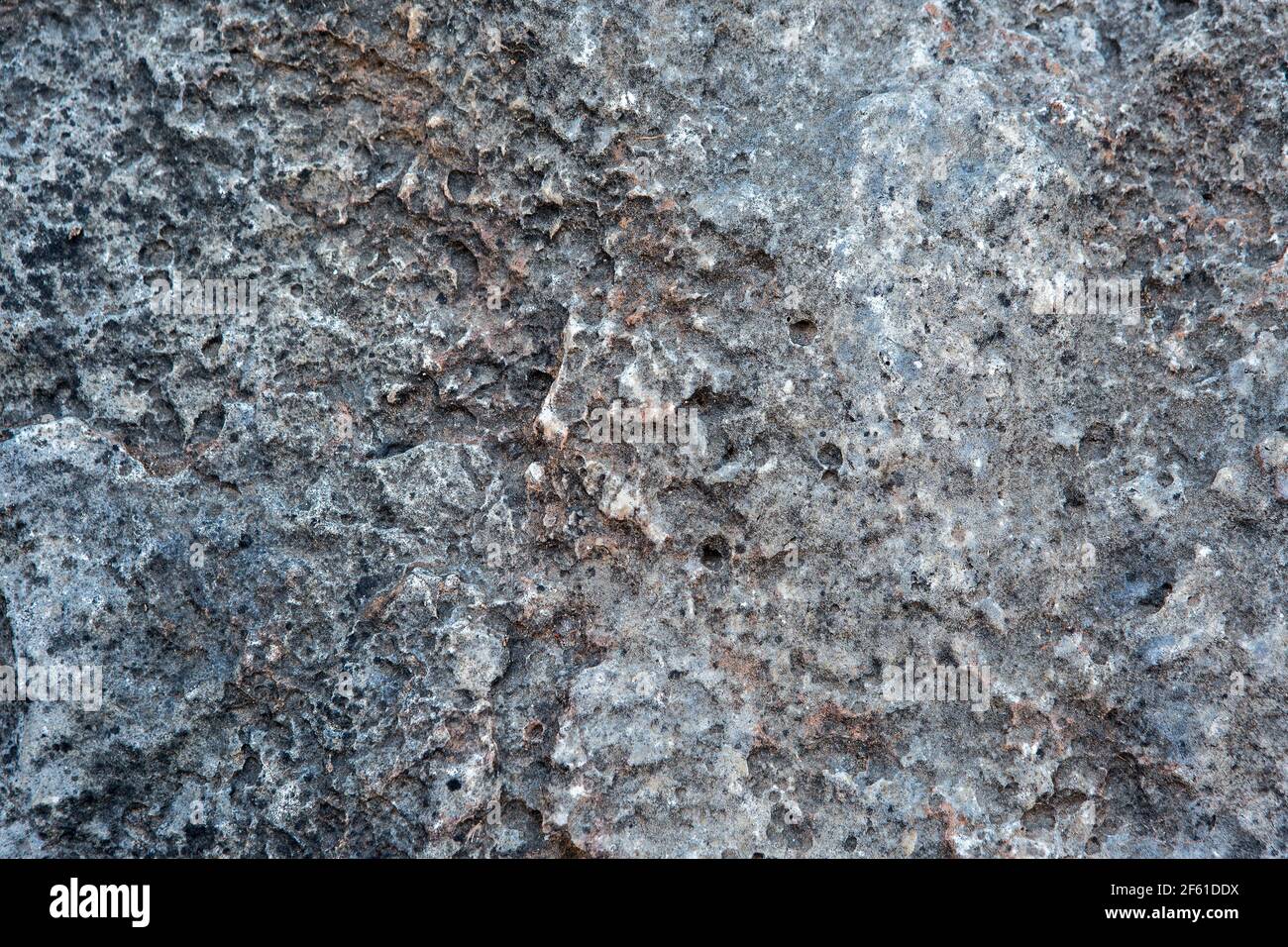 Texture of stone background. Porous stone Stock Photo - Alamy