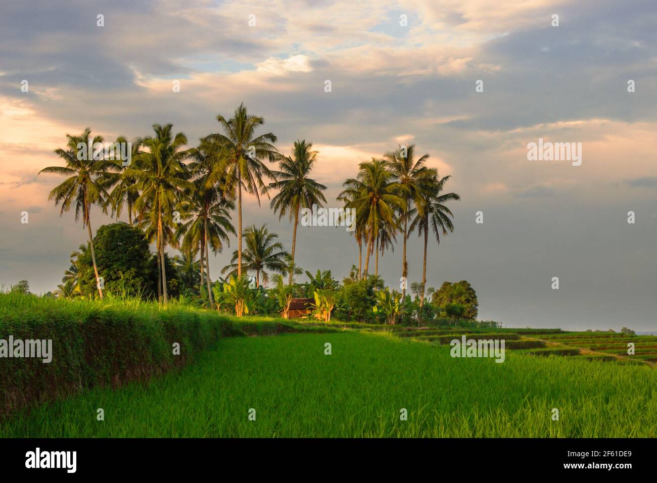 Rural atmosphere hi-res stock photography and images - Alamy