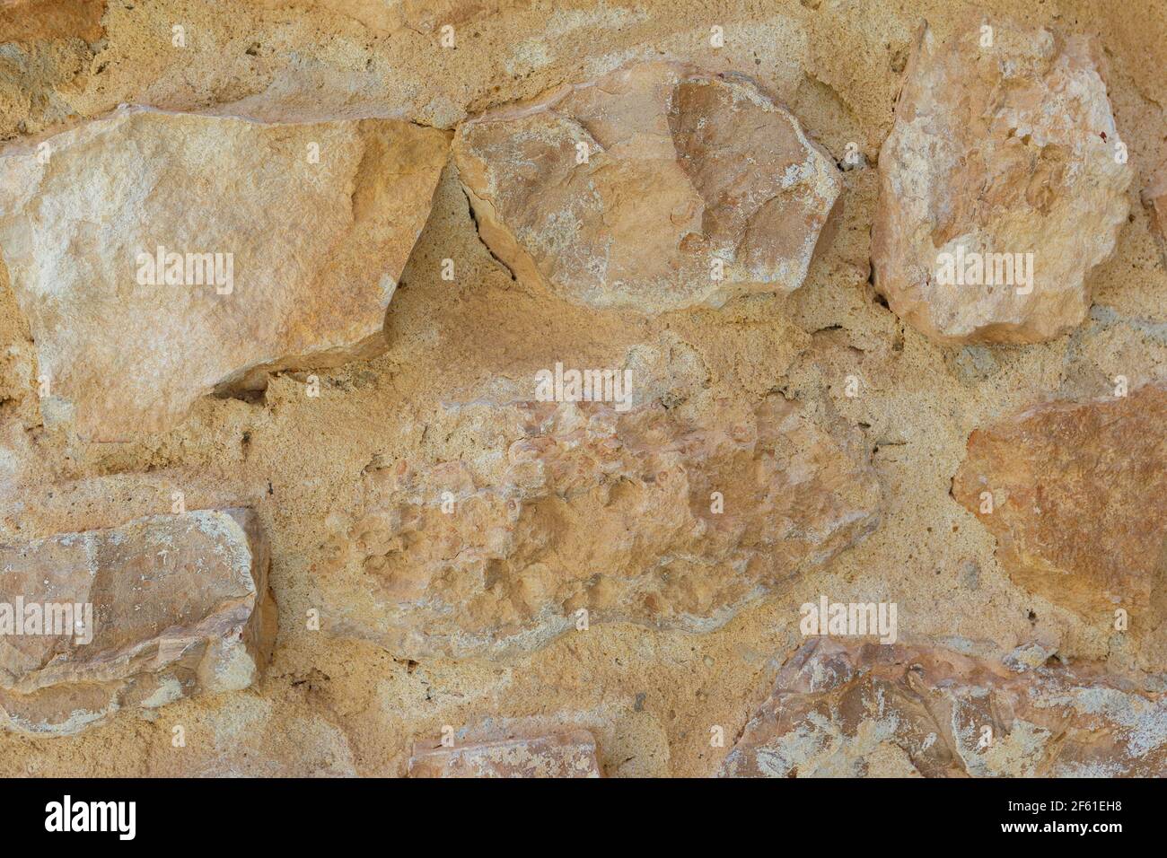Texture of stone background. Porous stone Stock Photo - Alamy