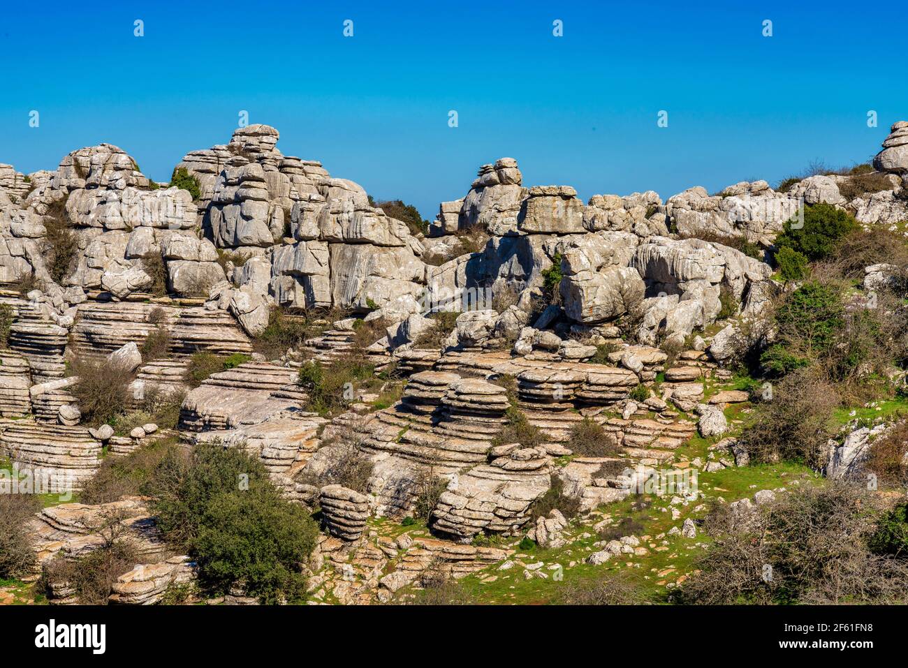 Whole tor hi-res stock photography and images - Alamy