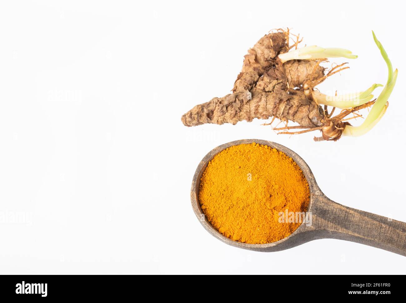 Curcuma longa - turmeric root and powder. White background Stock Photo ...