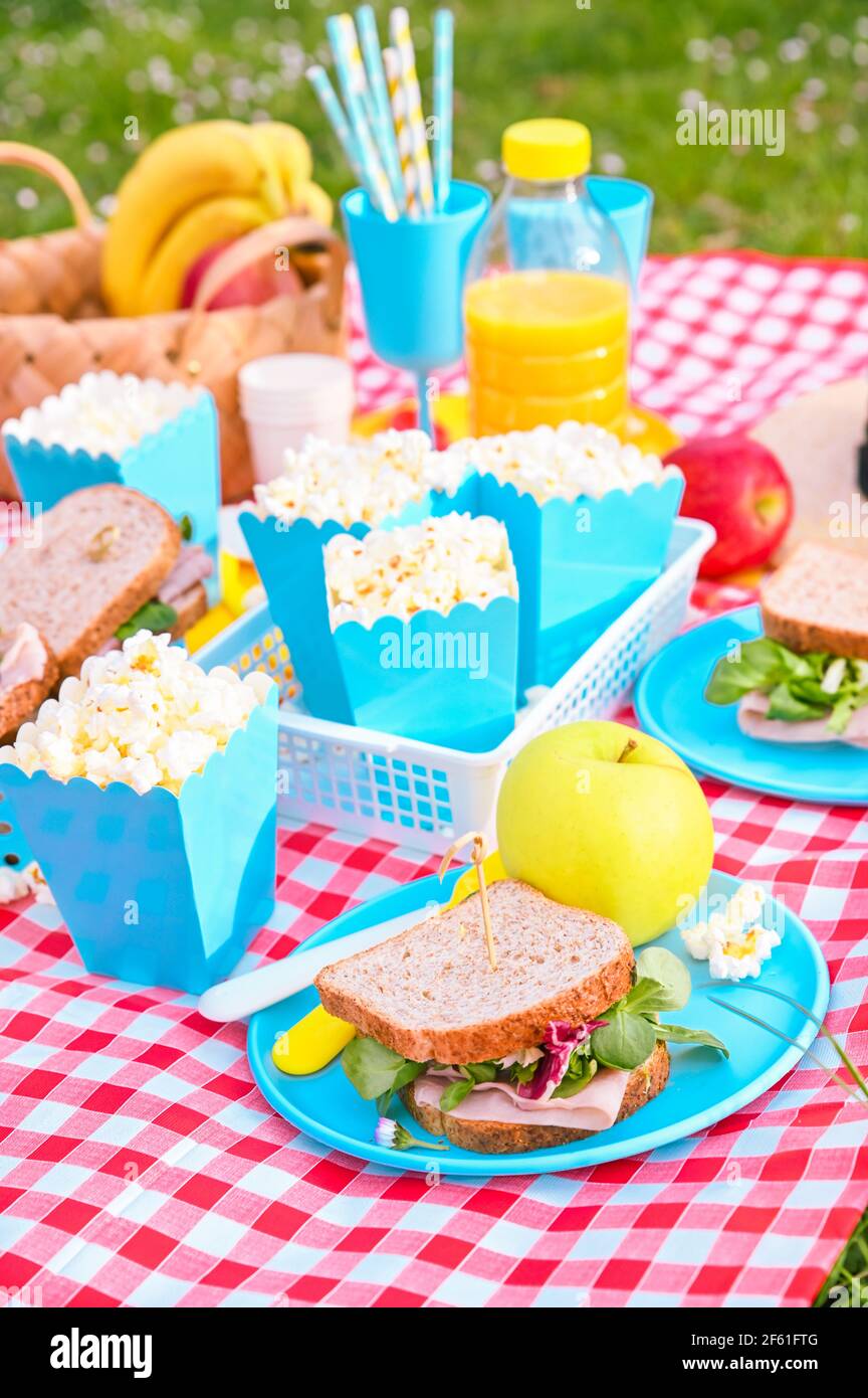 Lunch in the park on the green grass. Summer sunny day and picnic ...