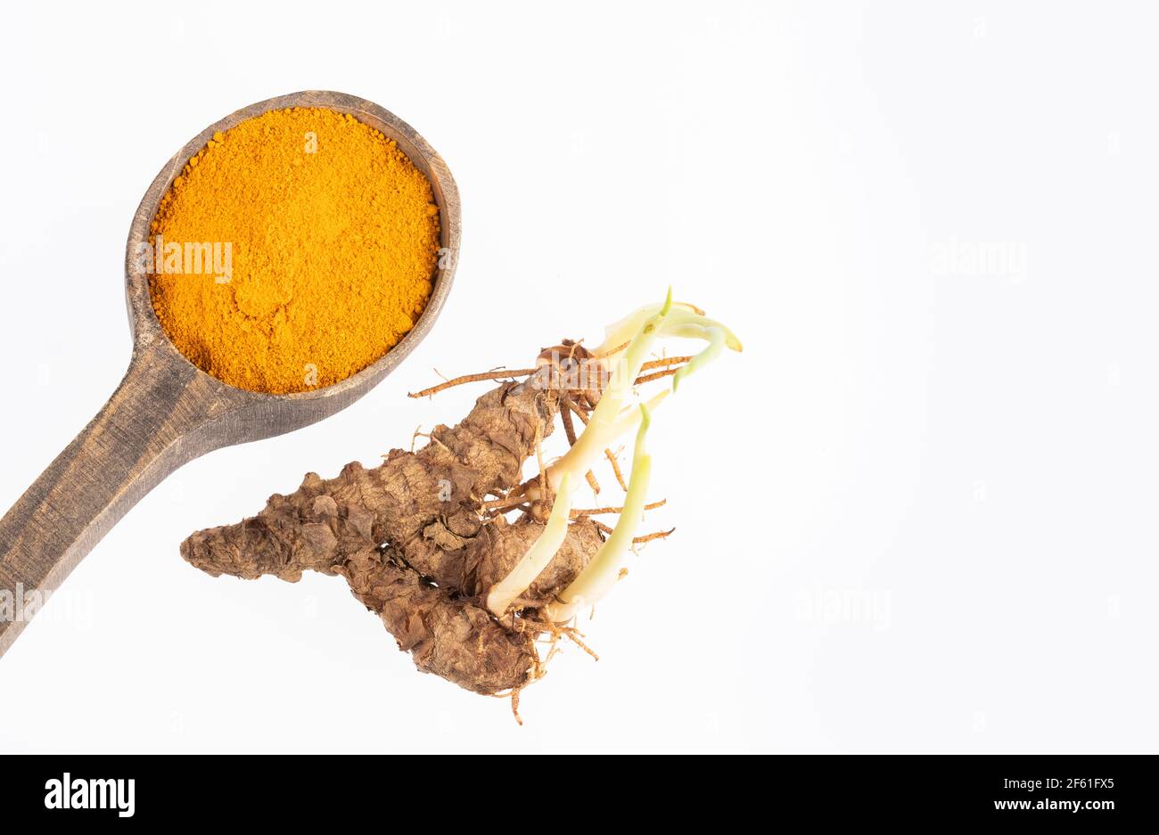 Roots and turmeric powder - Curcuma longa Stock Photo - Alamy