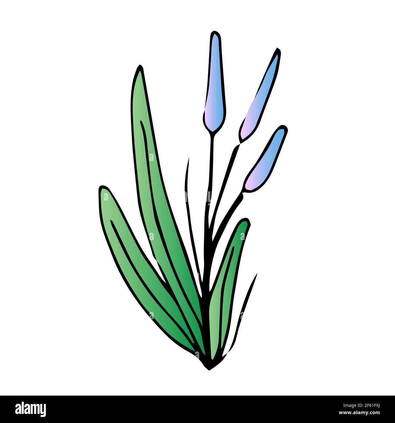 Beautiful flower,Spring twig with leaves, floral vector object in ...