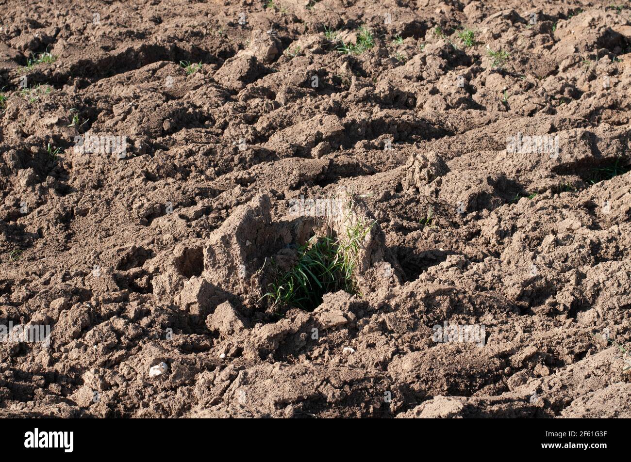 Field Clods Of Earth High Resolution Stock Photography and Images - Alamy