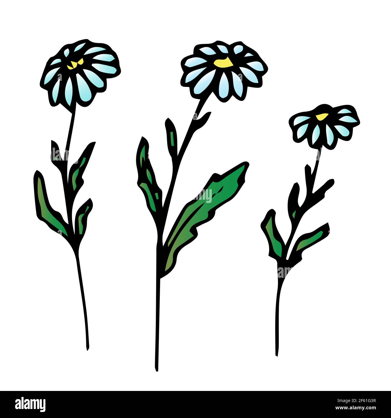 Beautiful flower,Spring twig with leaves, floral vector object in ...