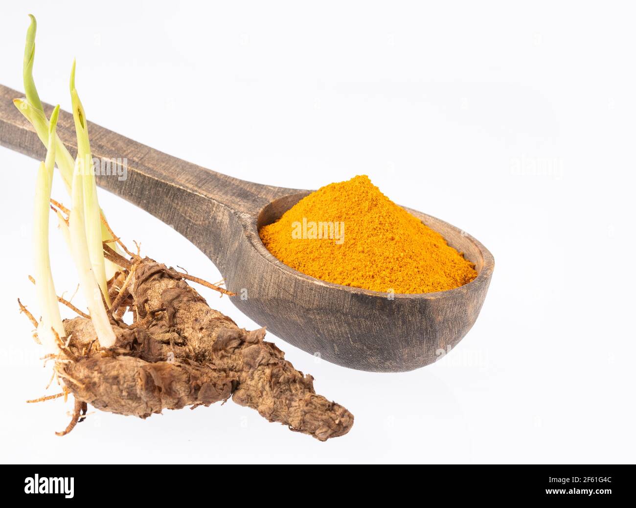 Roots and turmeric powder - Curcuma longa Stock Photo - Alamy