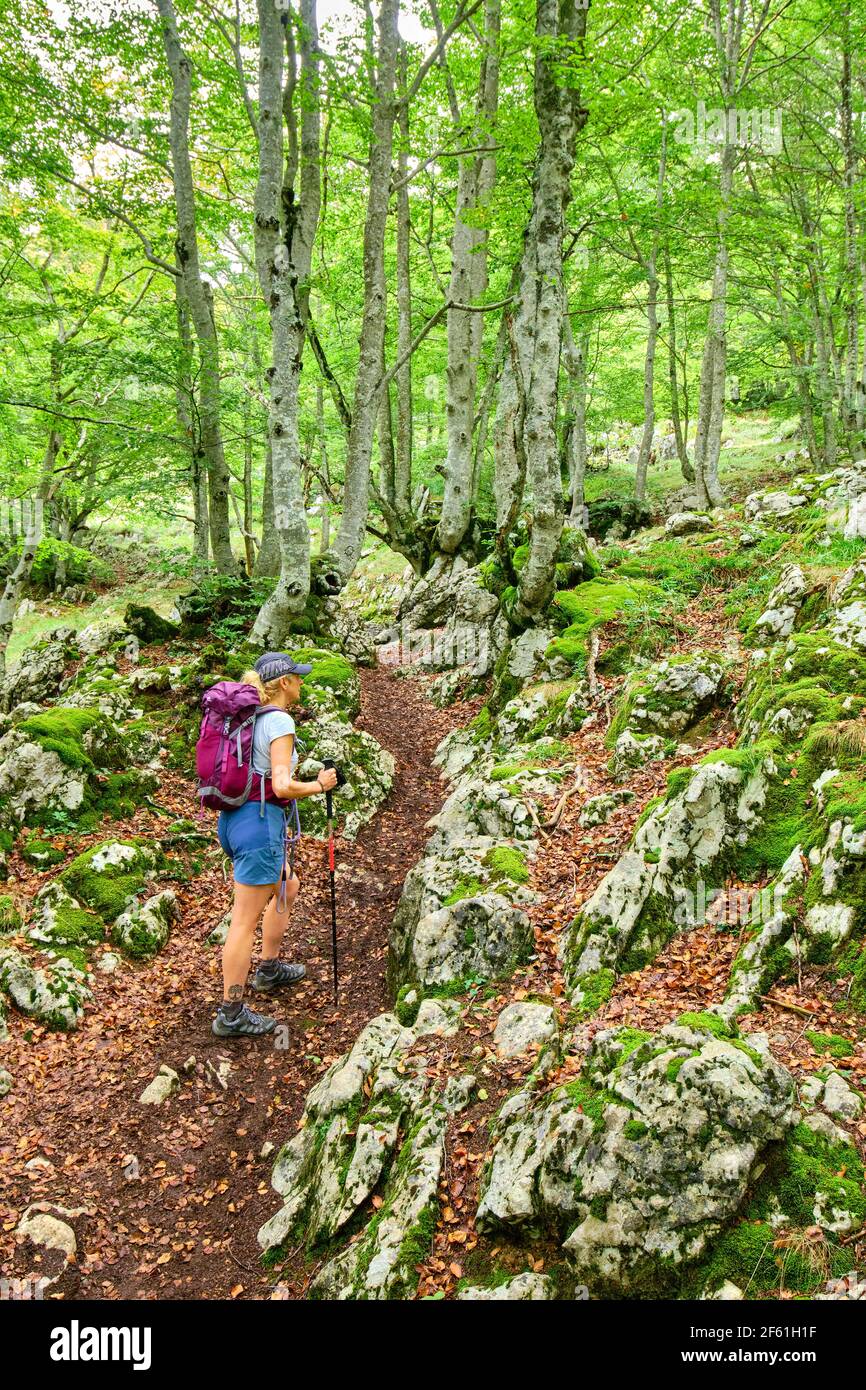 Basque walking stick hi-res stock photography and images - Alamy
