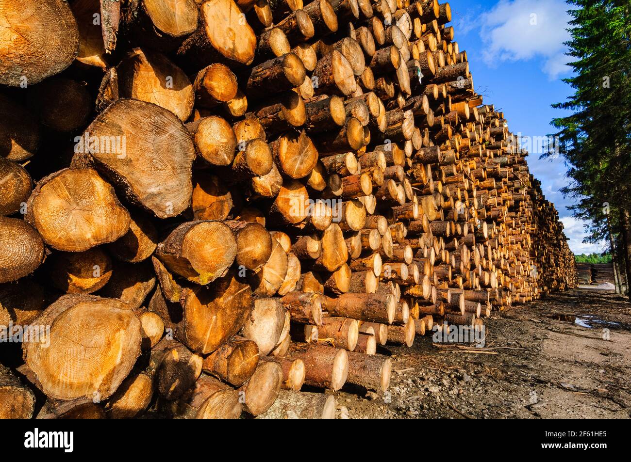 Timber industry sweden manufacturing hi-res stock photography and ...