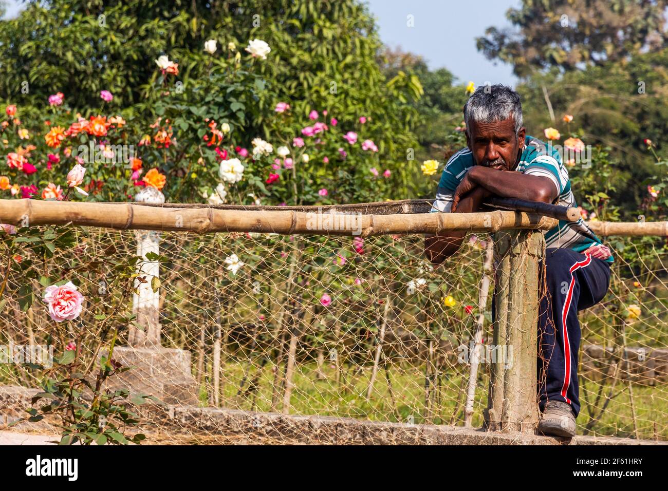 Indian gardener hi-res stock photography and images - Alamy