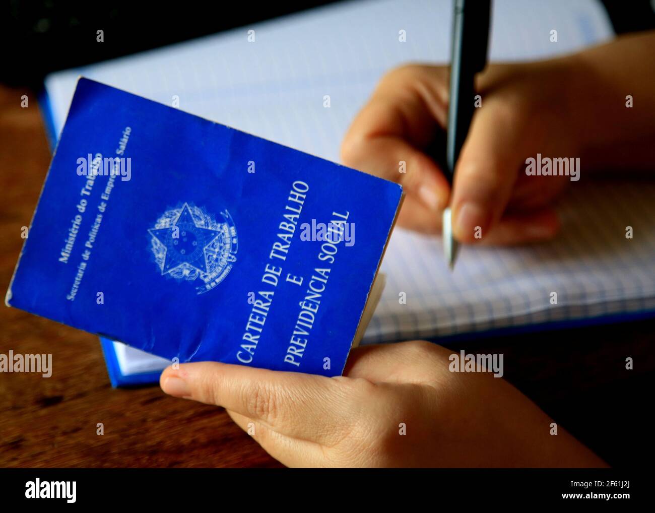salvador, bahia / brazil - june 12, 2020: brazilian work permit is seen ...
