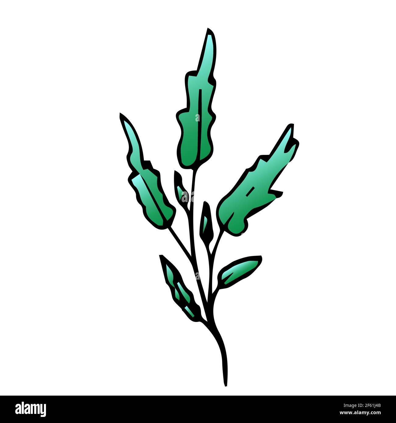 Beautiful flower,Spring twig with leaves, floral vector object in ...