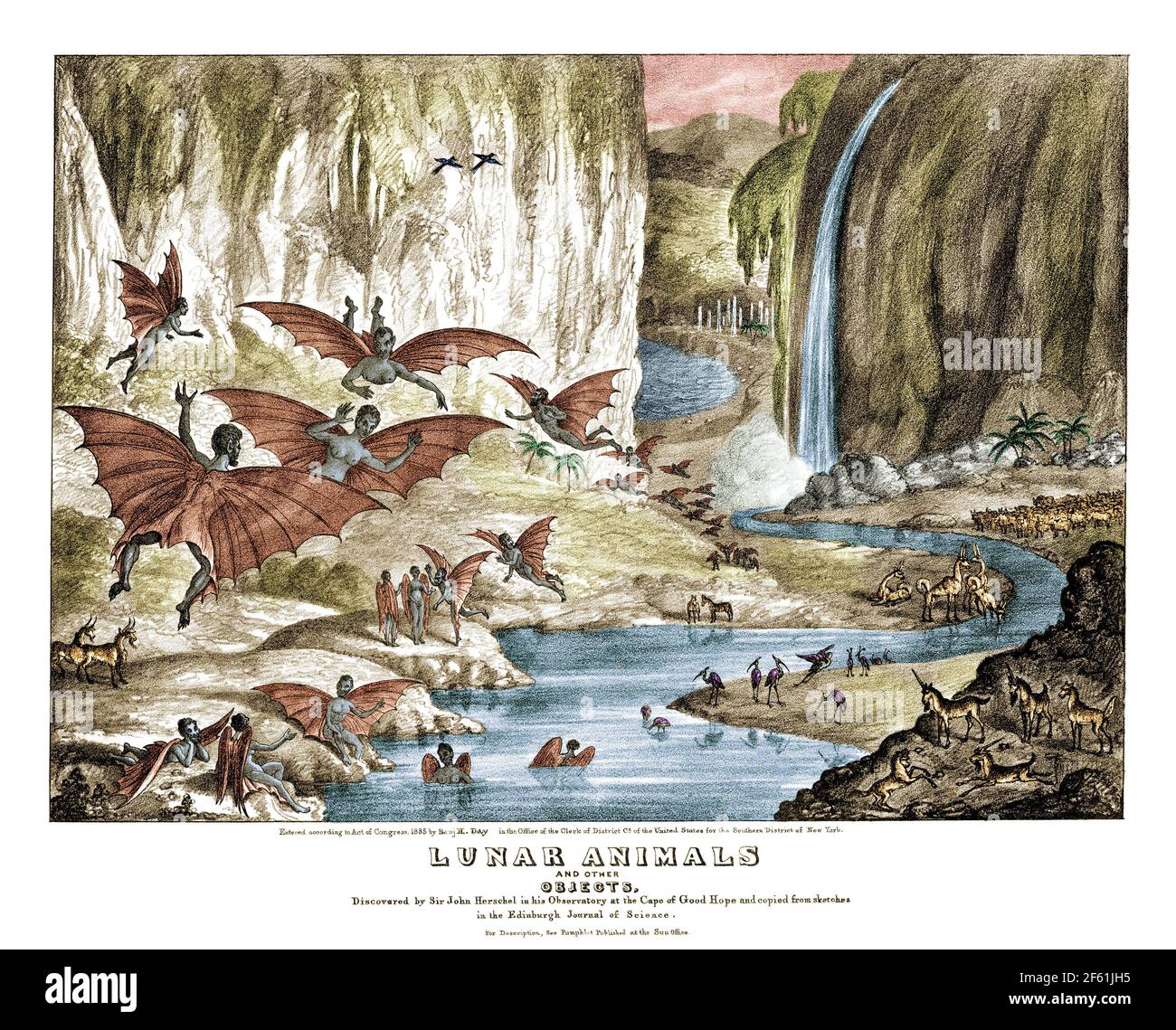 Imaginary animals hi-res stock photography and images - Alamy