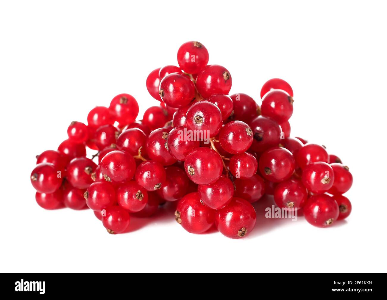 Fresh red currant on white background Stock Photo - Alamy