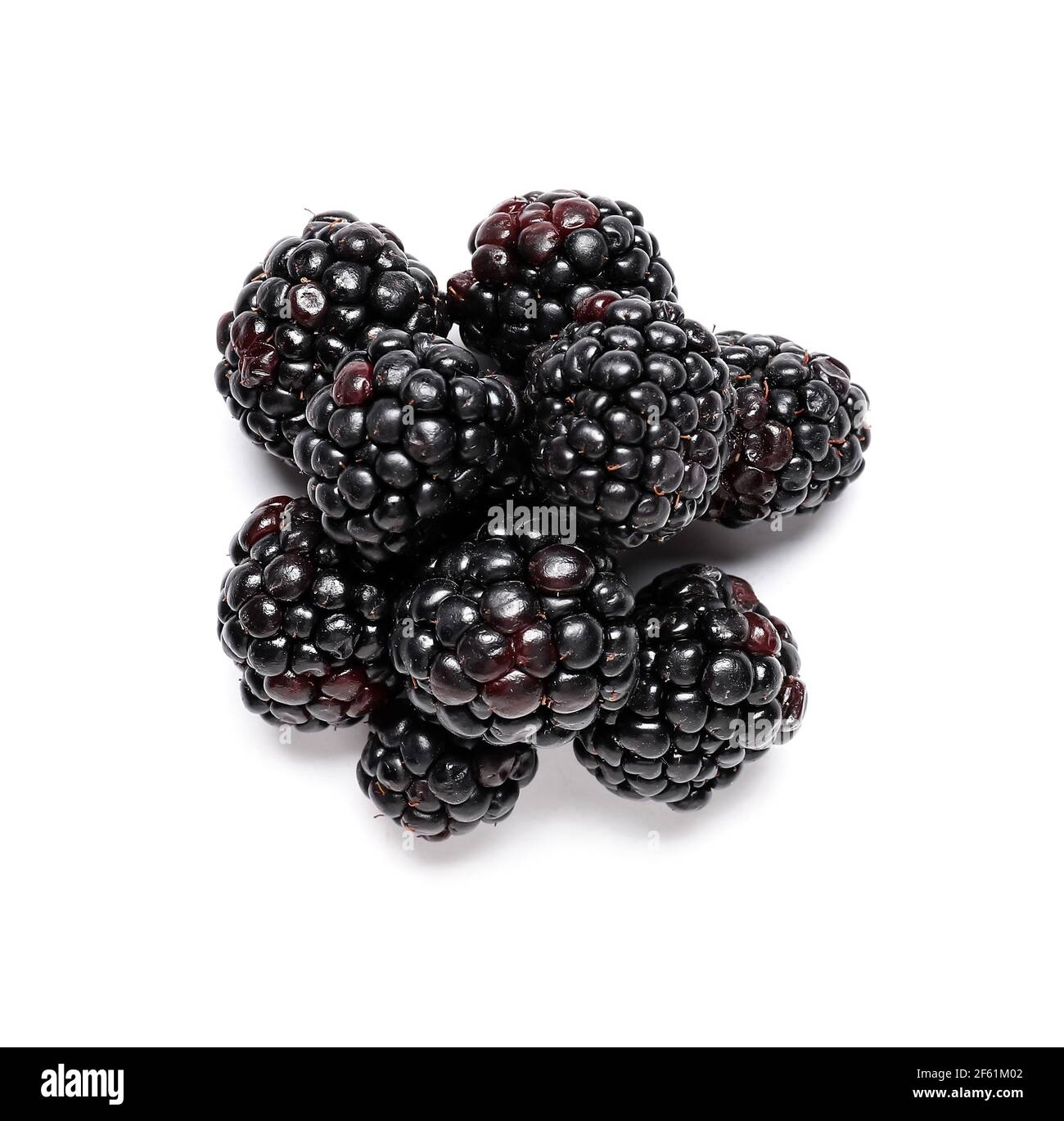 Fresh ripe blackberry on Cut Out Stock Images & Pictures - Alamy