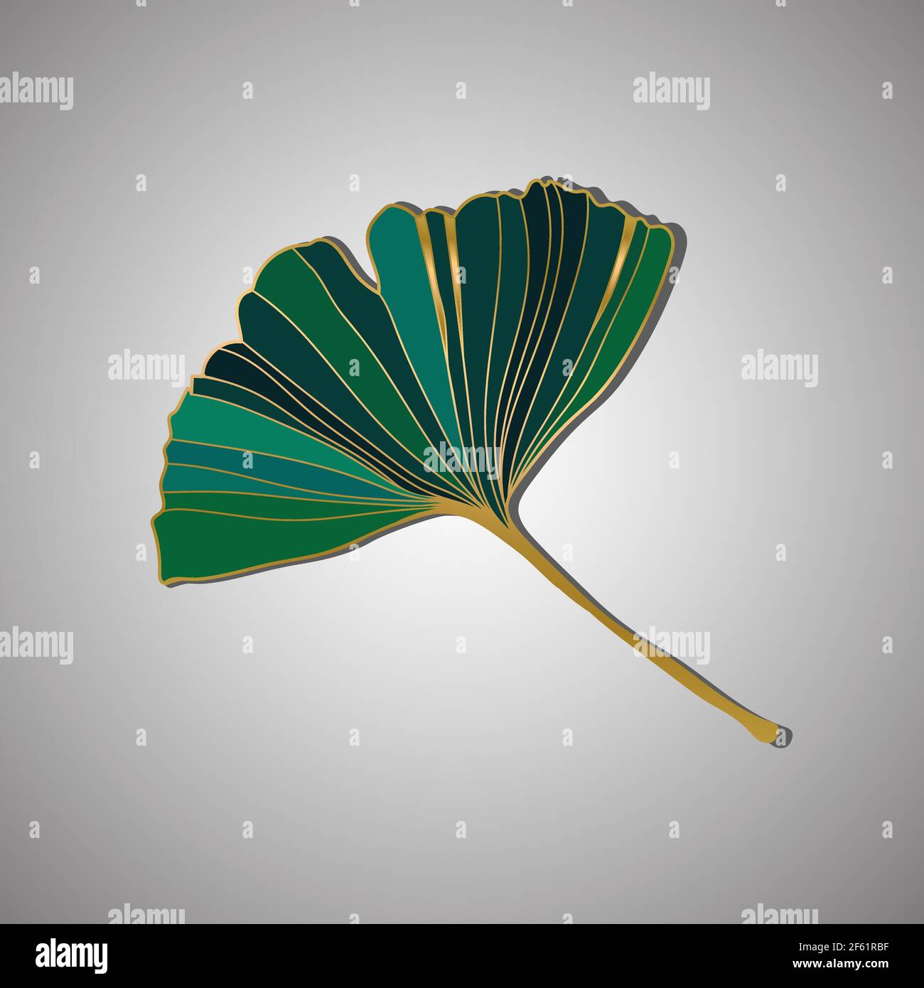 Vector illustration of ginkgo biloba leaf. ink line art design Stock ...