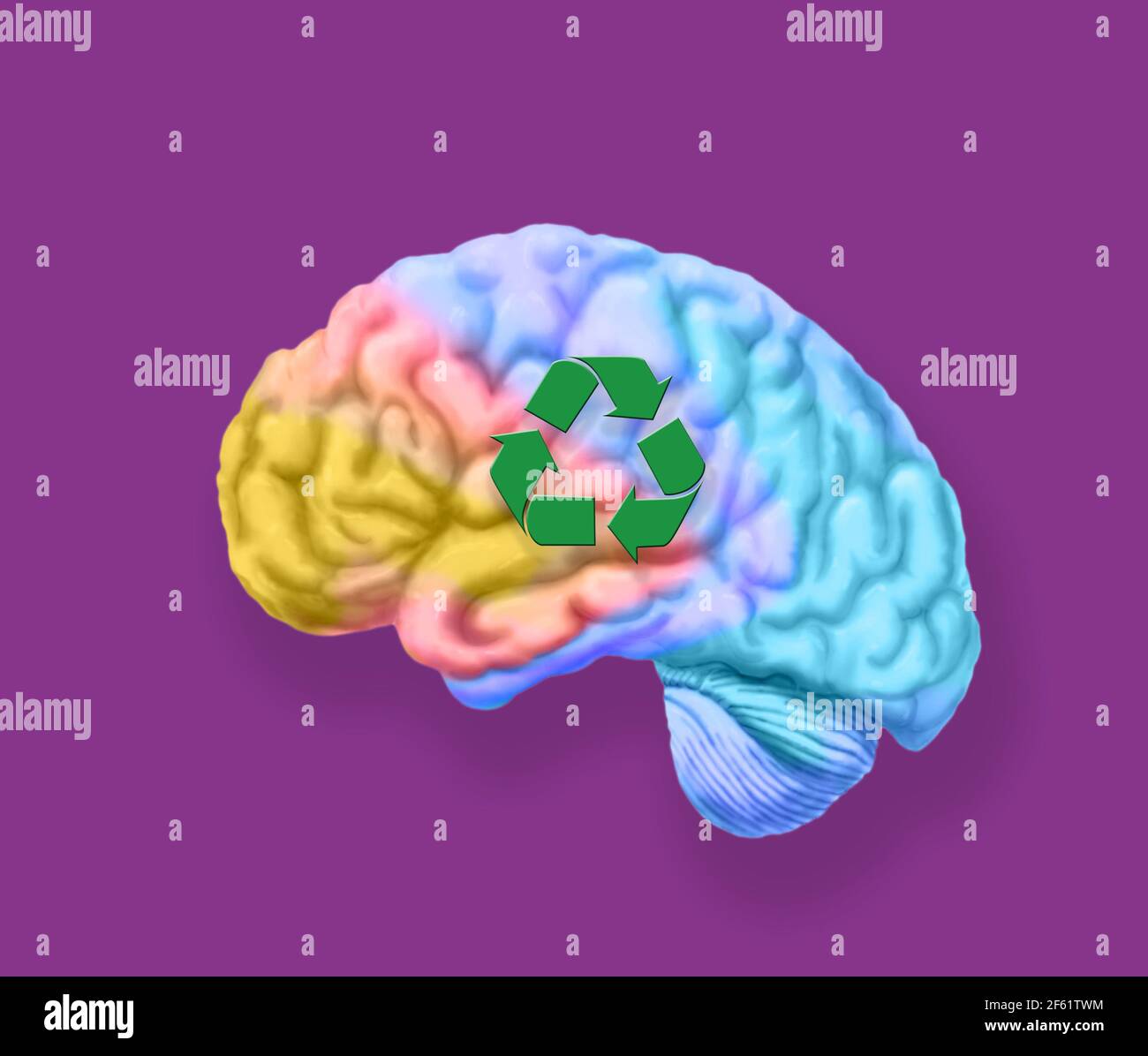 Green brain hi-res stock photography and images - Alamy