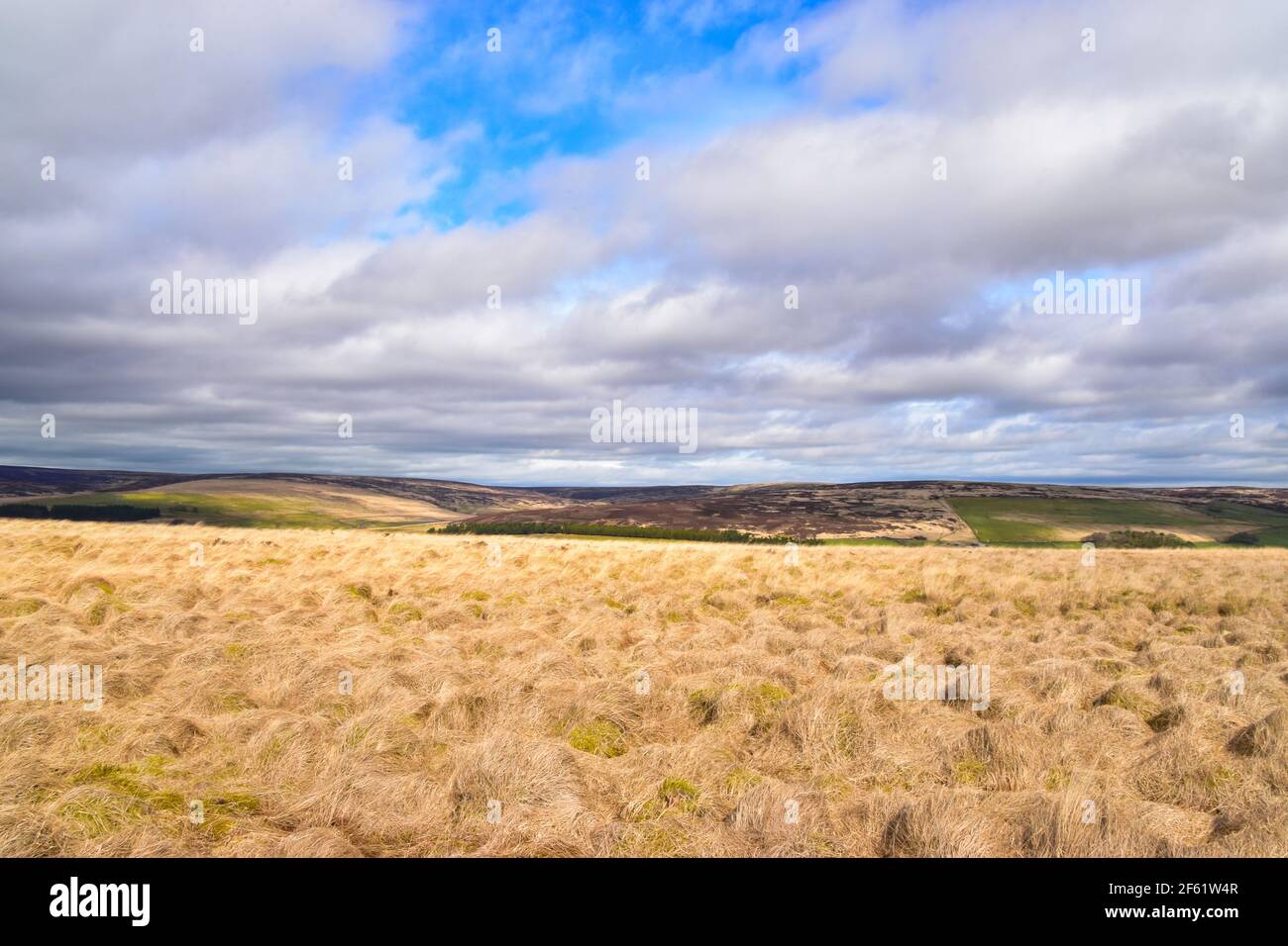 Heptonstall Moor, Pennines, Pennine Way, West Yorkshire Stock Photo - Alamy