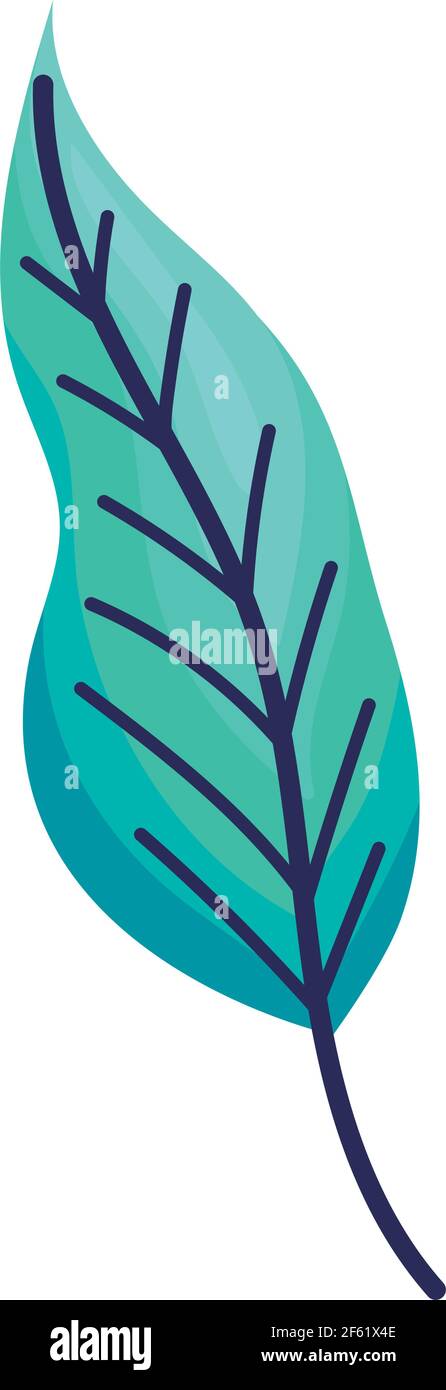 turquoise leaf illustration Stock Vector Image & Art - Alamy