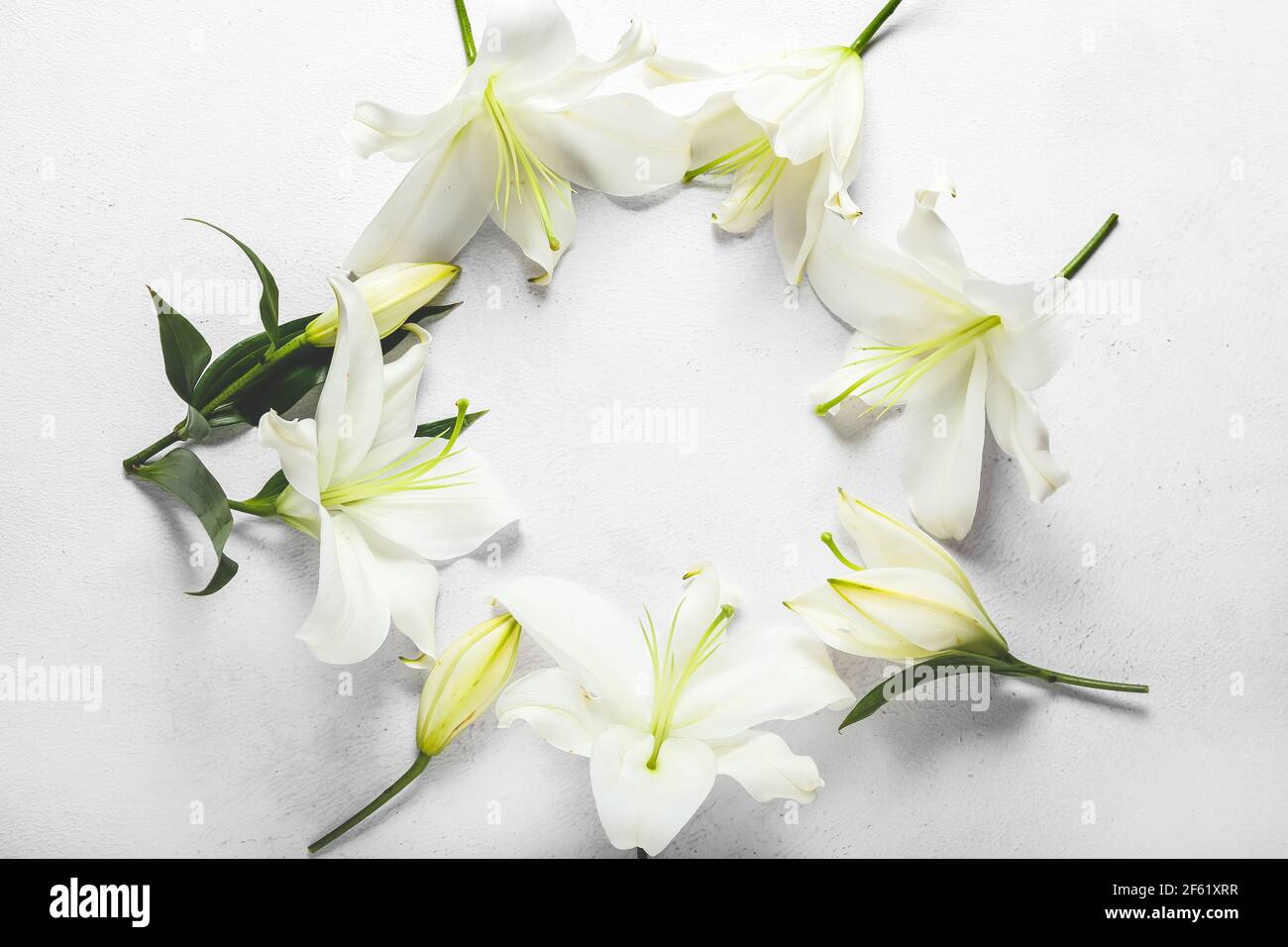 Frame made of beautiful lilies on light background Stock Photo - Alamy