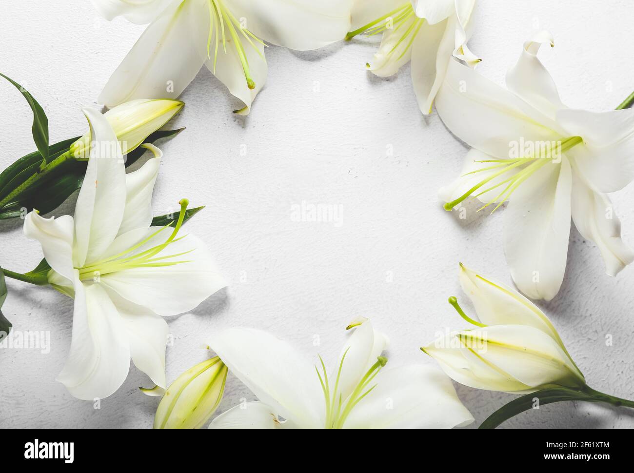 Frame made of beautiful lilies on light background Stock Photo - Alamy