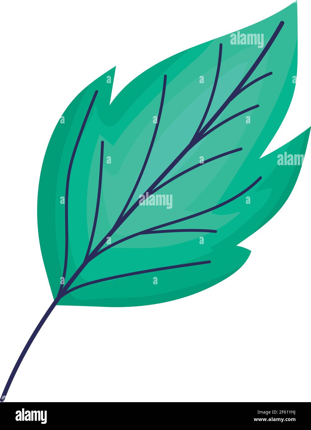 emerald leaf isolated Stock Vector Image & Art - Alamy