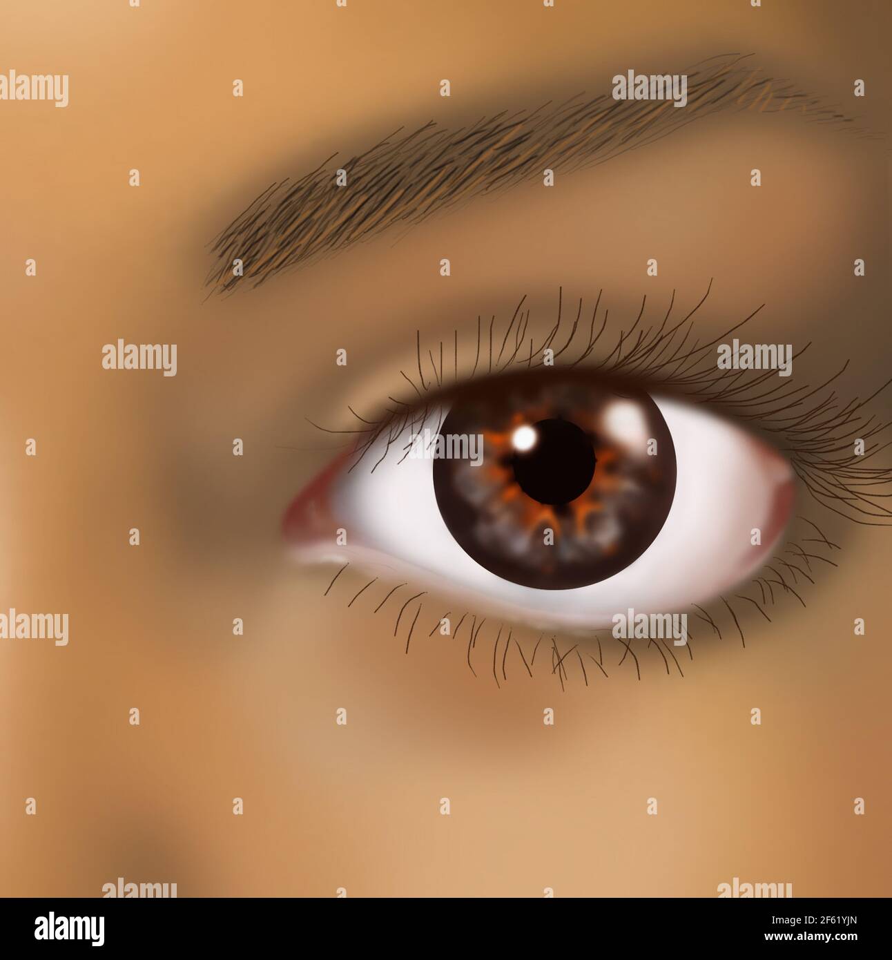 African-American Woman's Eyes Stock Photo - Alamy