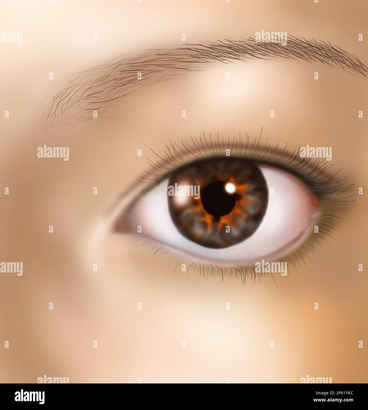 Asian Woman's Eyes Stock Photo - Alamy