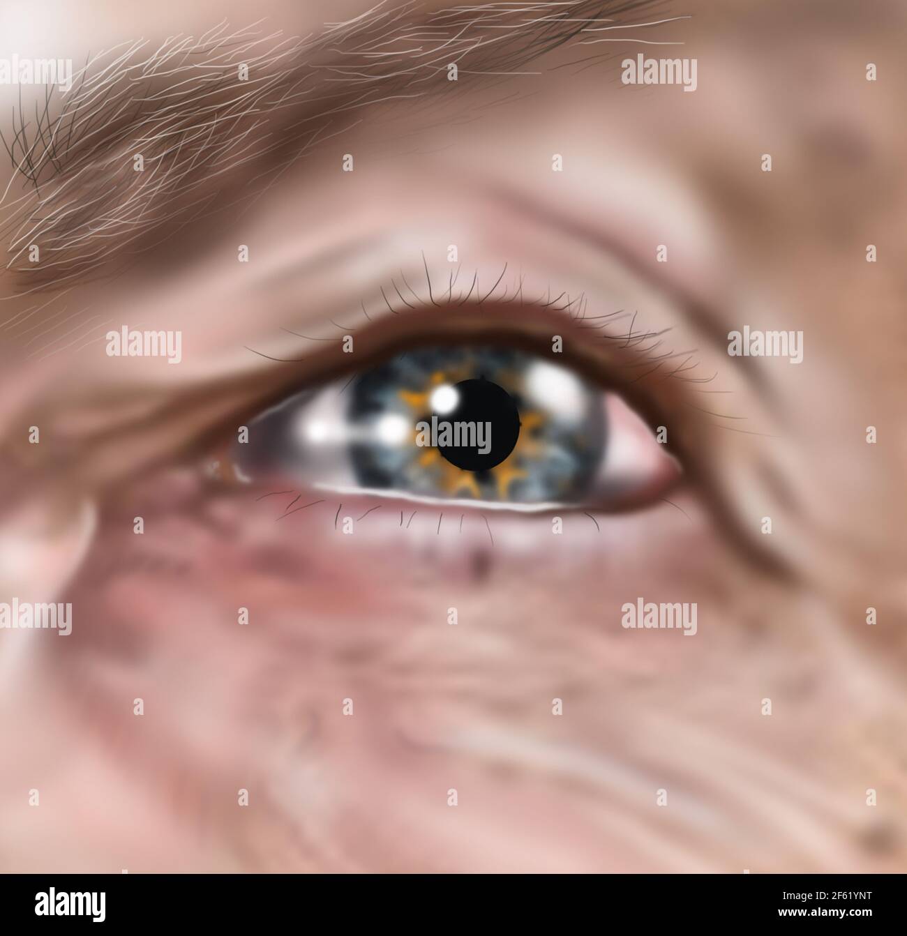 Old woman's eye Stock Photo - Alamy