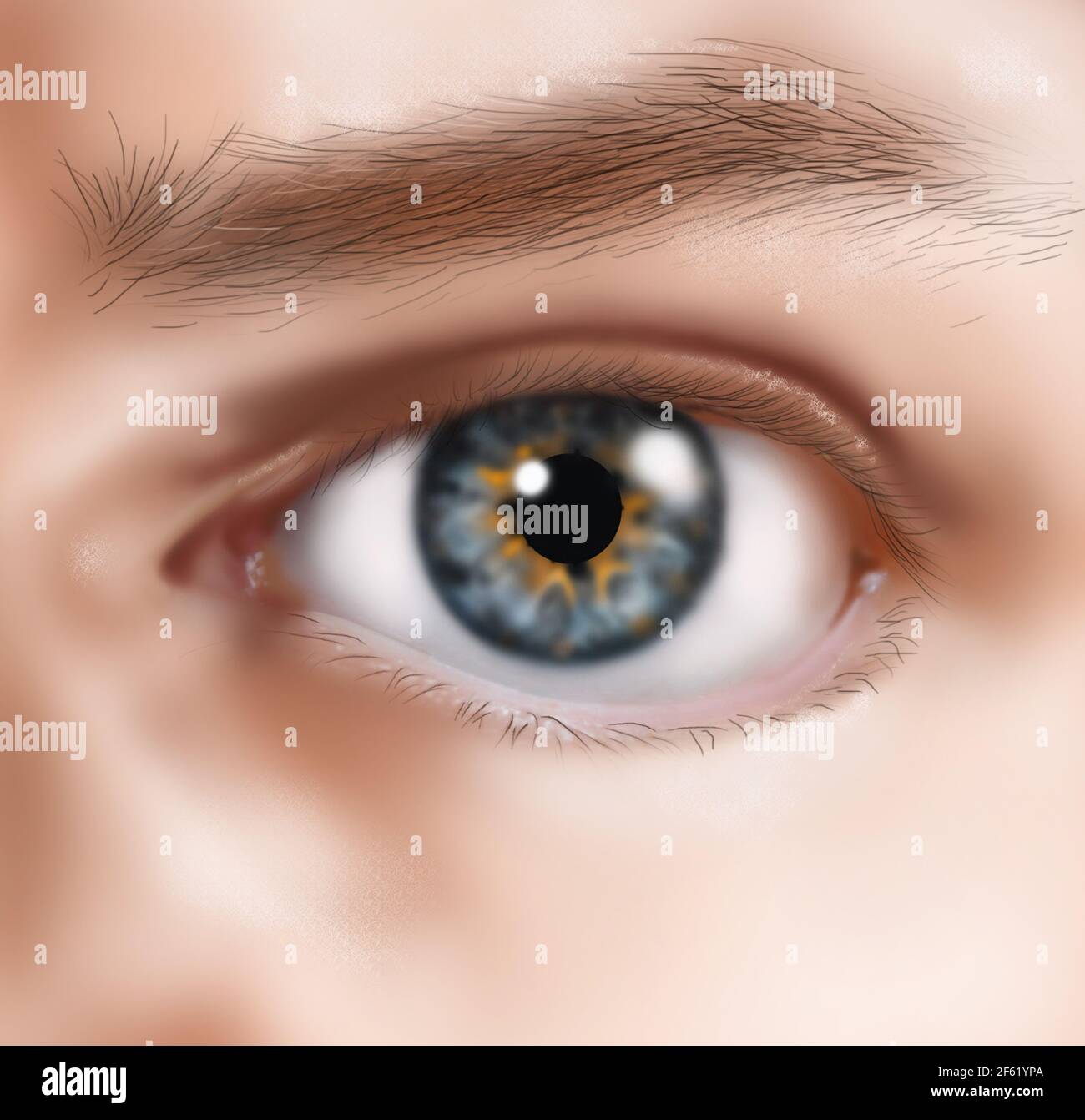 Eye eye hi-res stock photography and images - Alamy