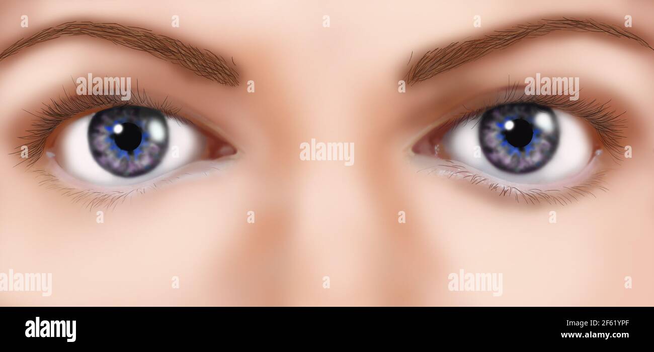 Human eyes and anatomy hi-res stock photography and images - Alamy