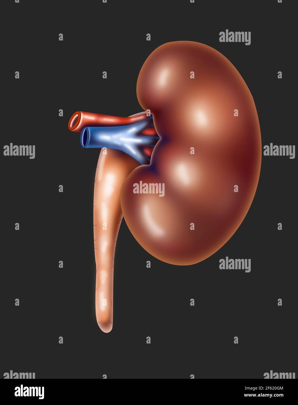 Then left hi-res stock photography and images - Alamy