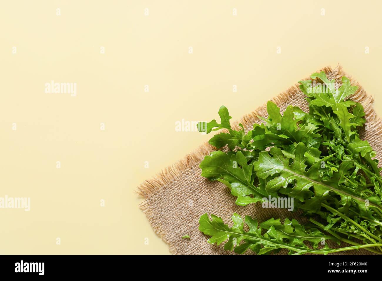 Fresh arugula on color background Stock Photo - Alamy