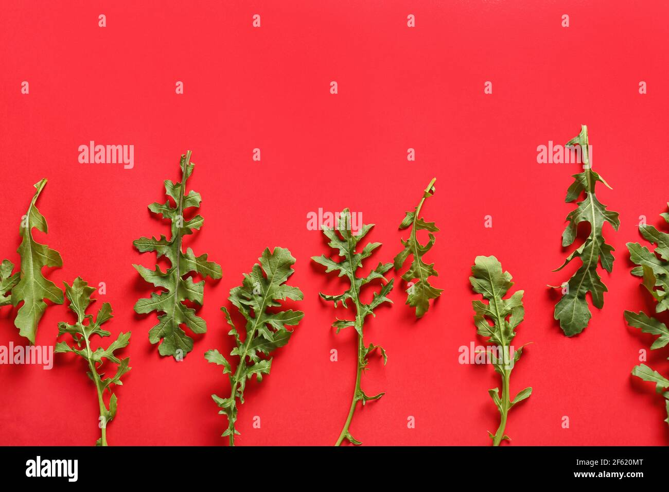 Fresh arugula on color background Stock Photo - Alamy