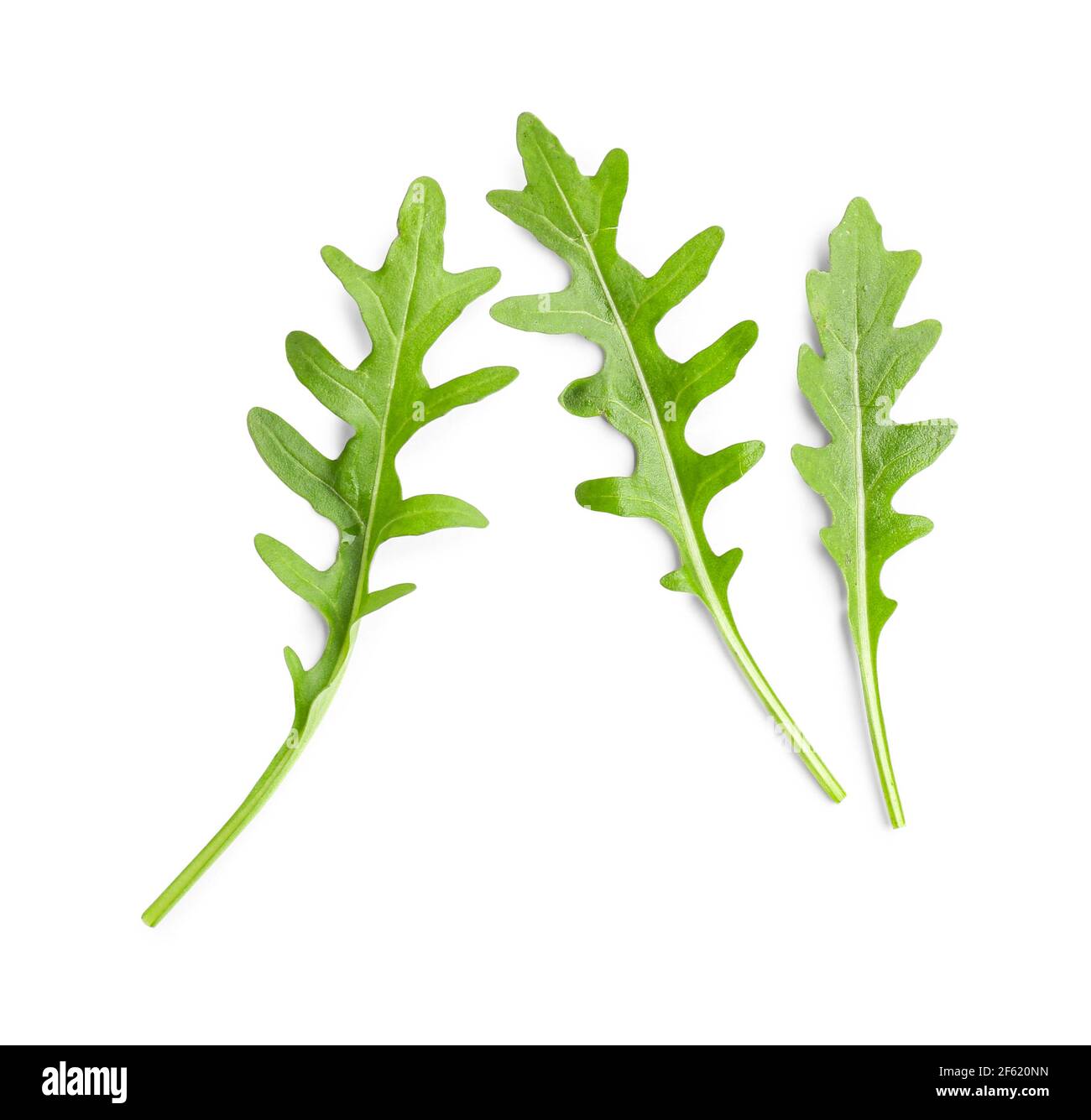 Fresh arugula on white background Stock Photo - Alamy
