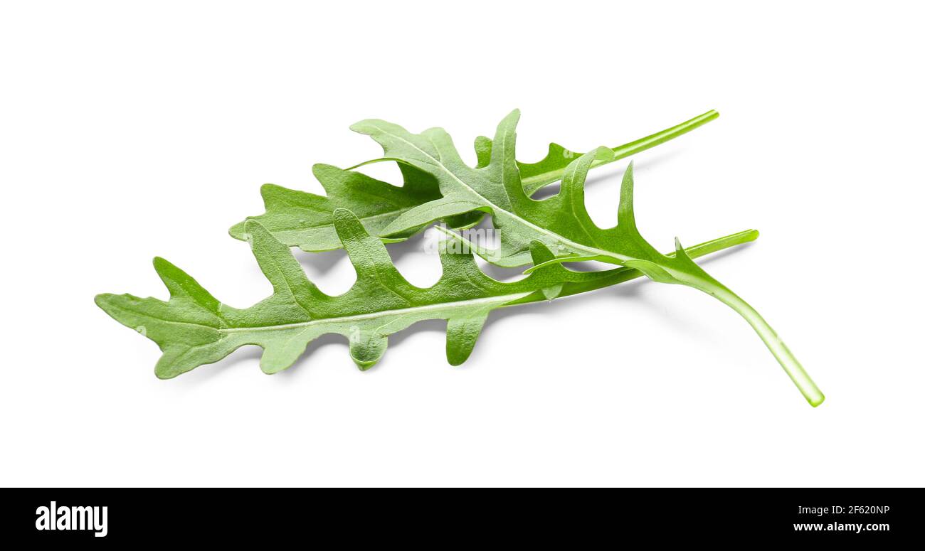 Fresh arugula on white background Stock Photo - Alamy